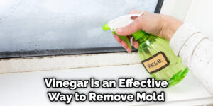 How to Clean Mold From Ice Maker | 10 Effective Ways (2025)