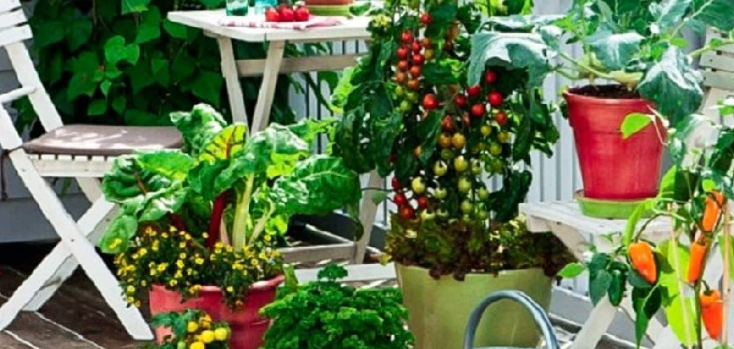 How to Make a Small Kitchen Garden | 8 Easy Methods (2026)